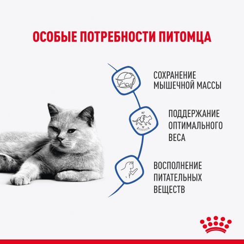 Влажный корм Royal Canin Light Weight Care для профилактики избыточного ...
