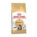 Сухой корм Royal Canin Maine Coon Adult для кошек породы мейн-кун ...