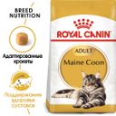 Сухой корм Royal Canin Maine Coon Adult для кошек породы мейн-кун ...